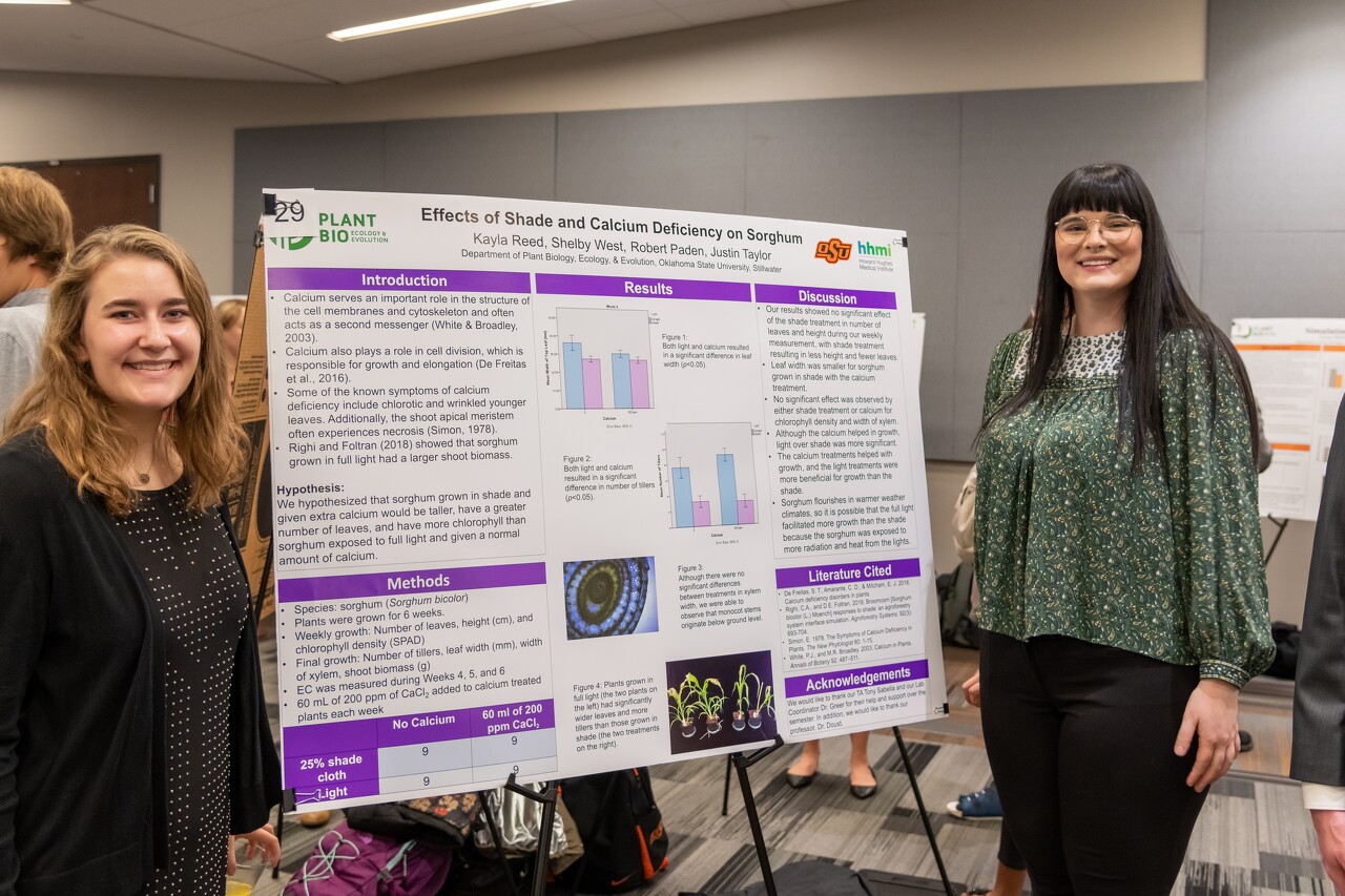 Departments / Plant Biology / Poster Session 2019 | CAS Photo Gallery